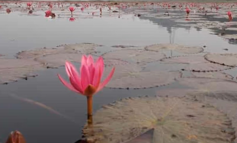 All Goalpara District Information - গোৱালপাৰা জিলাৰ তথ্য।